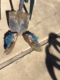 Do YOU Know the SECRET to LIFE? I DO! Nibits for Newbies 4.17.16 ...