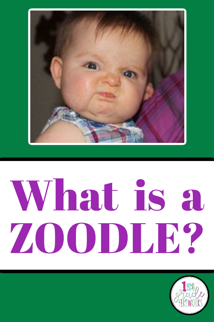 What’s a ZOODLE? | 1stgradefireworks